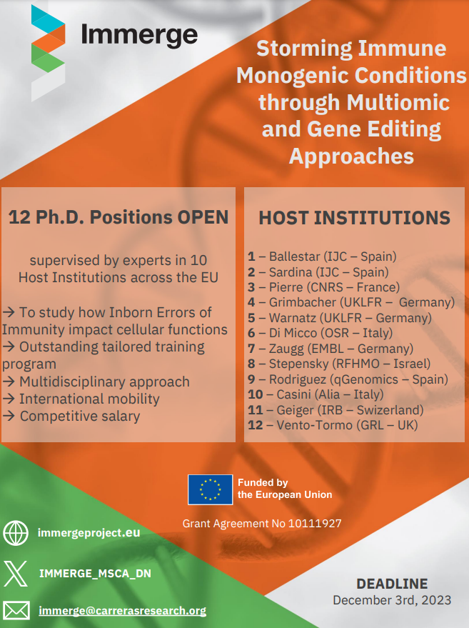 REGIC - IMMERGE, PhD Candidates Open Call - REGIC